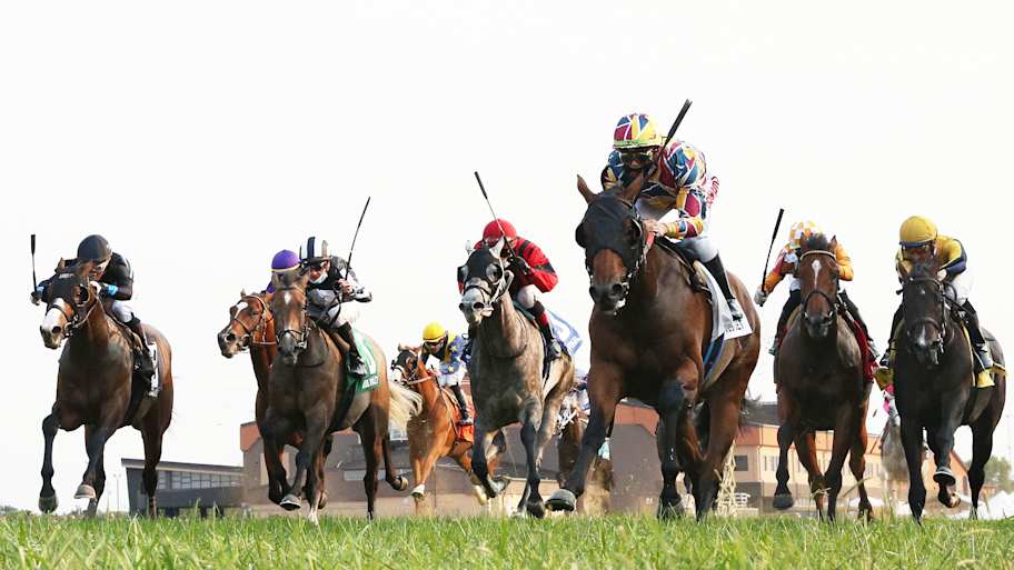 DRF's Horse Racing Playbook for Wednesday, September 10, 2025