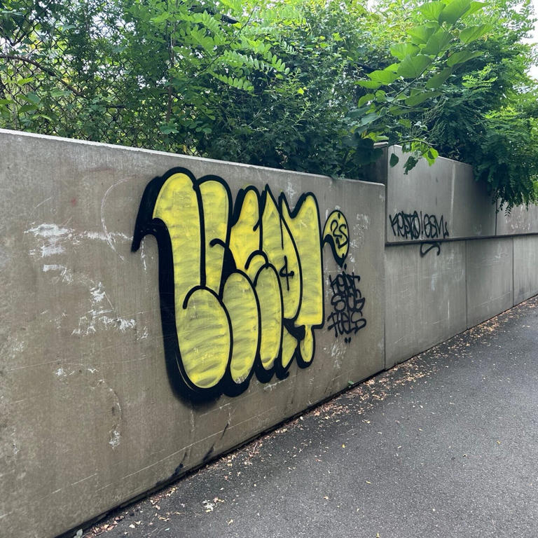 Naugatuck police looking to identify graffiti found in park