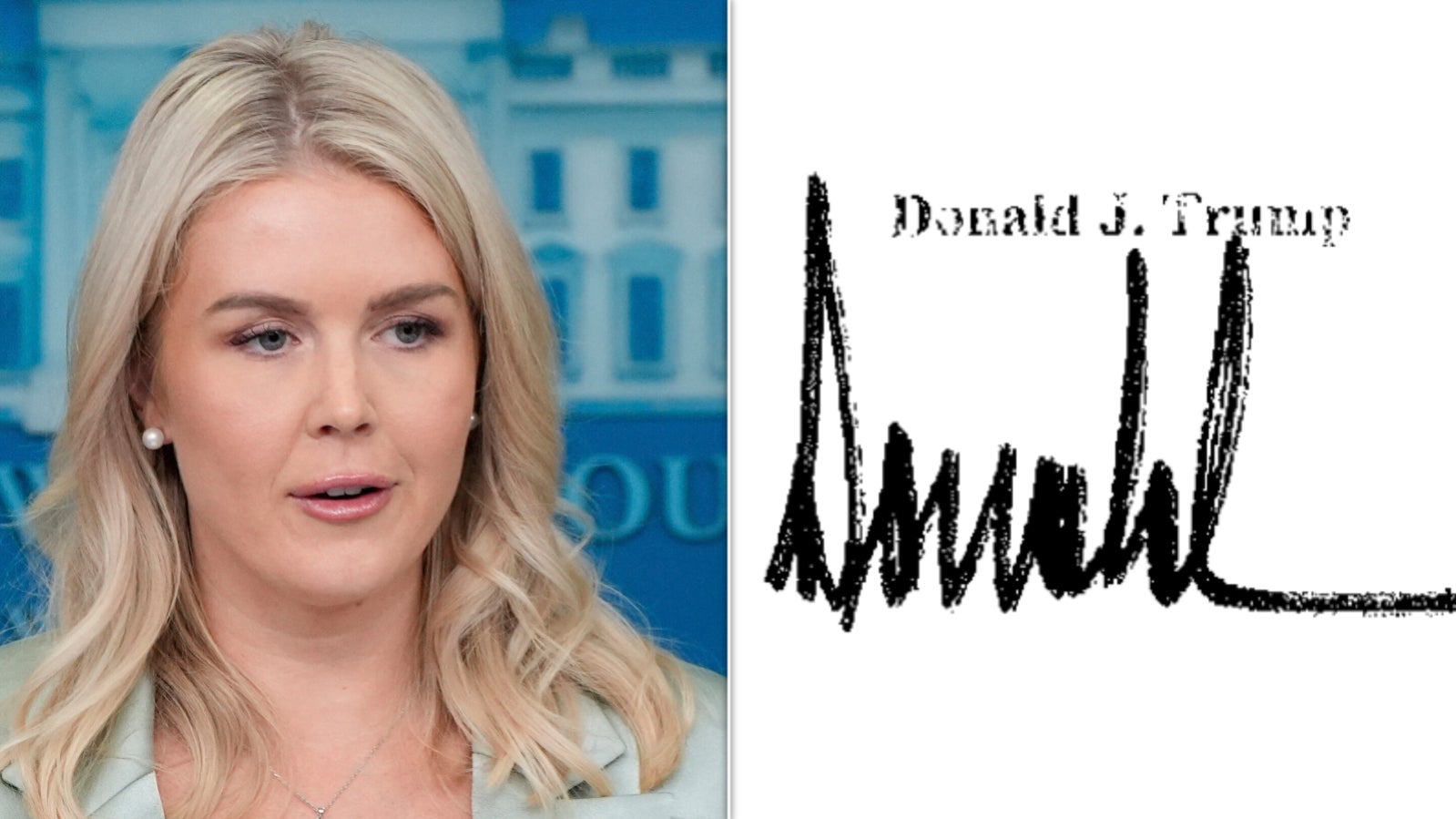 White House Supports Handwriting Expert Analysis Of Alleged Trump ...