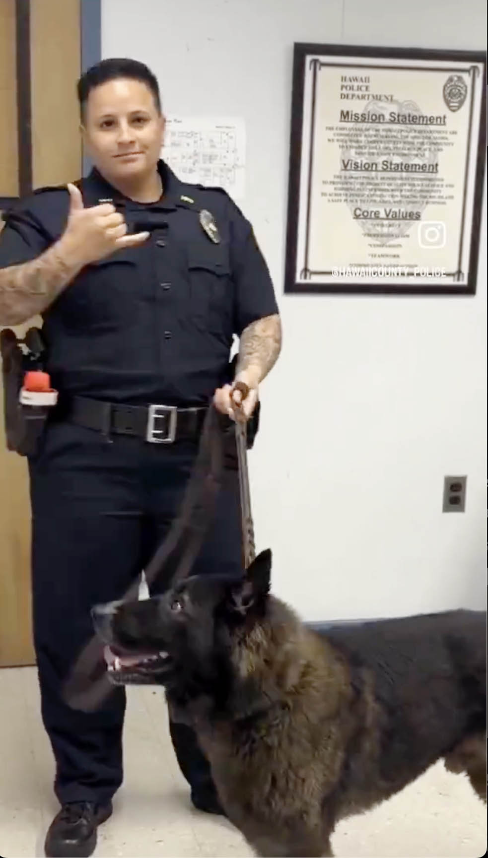 ‘Handsome’ Hawaiian police dog dies after being left in hot car by handler