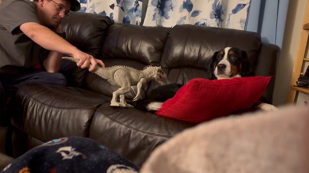 Dog unimpressed by toy dinosaur in Illinois, USA