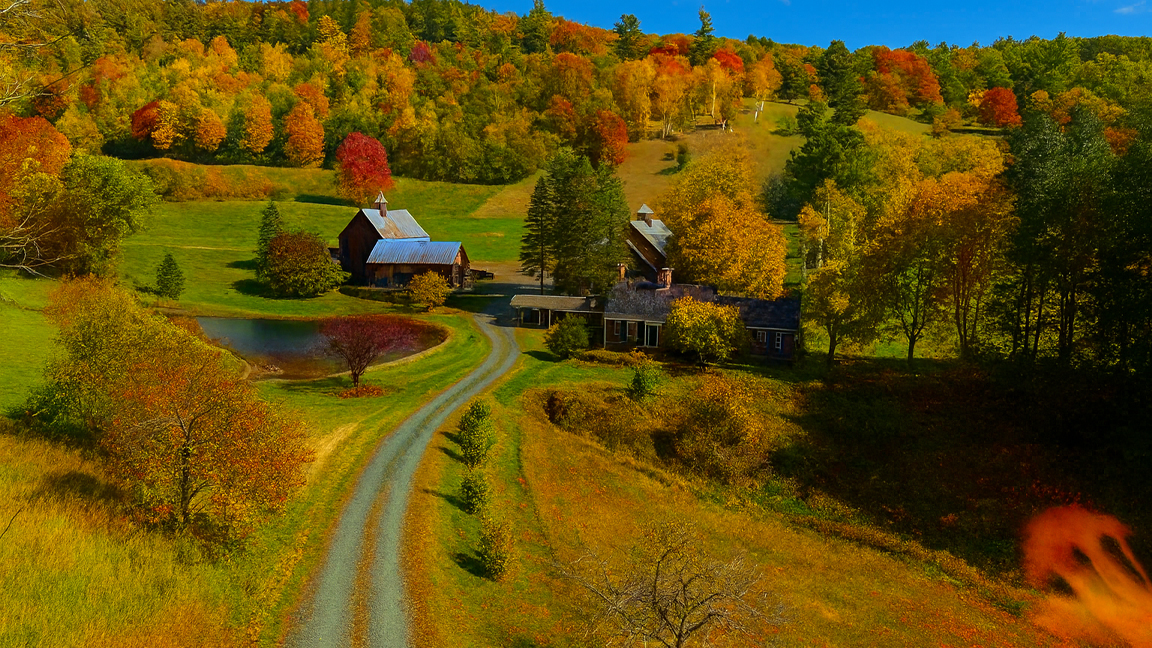 Il Mondo Come Appare Quando Semplicemente Guardiamo – Natura in 4K