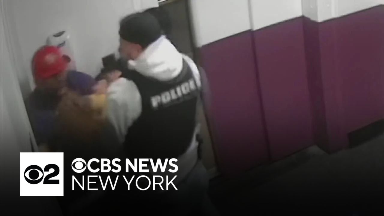 4 NYPD officers should be disciplined for beating Brooklyn shelter ...