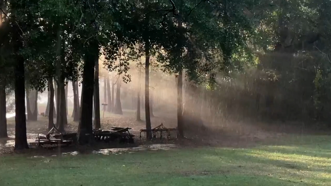 Soothing sunlit rain in Alabama, USA