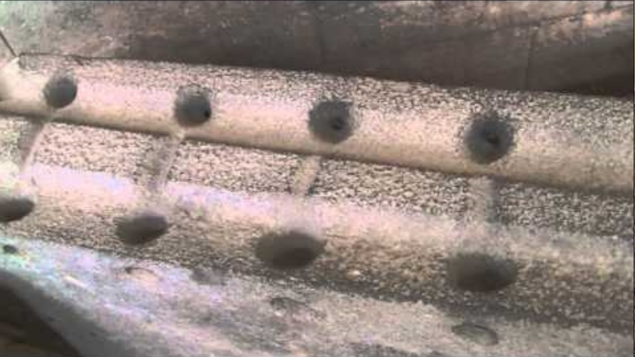 Inca Architecture: Obvious Signs Of Machine Tools Used.