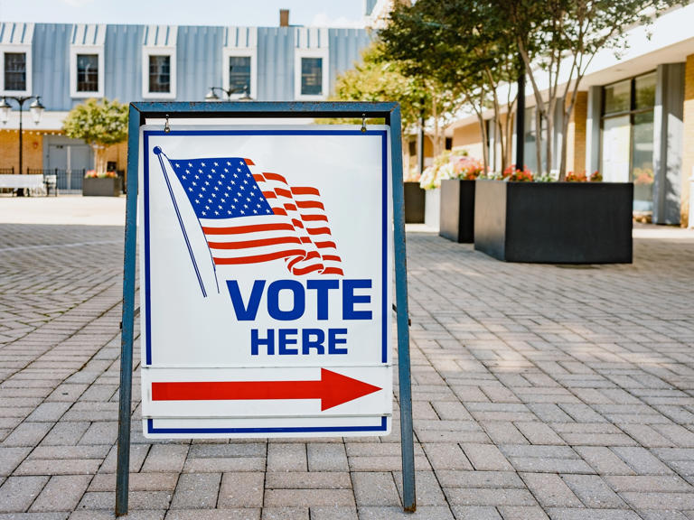Woman posted picture of dog with 'I voted' sticker after registering ...