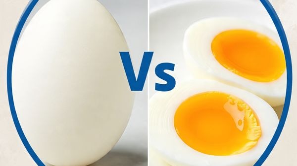 Whole egg vs egg white: Which is better for weight loss?