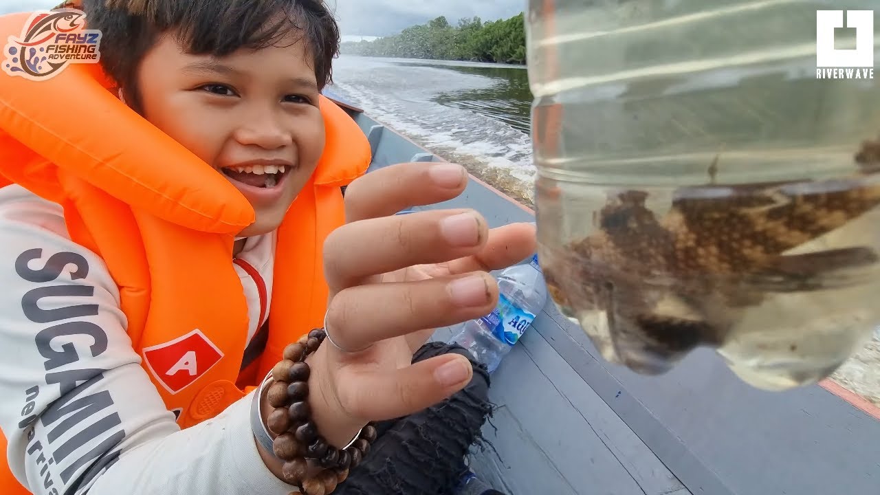 Rejeki Dapat Baby Marble Goby yang Lucu untuk Pajangan Aquarium!