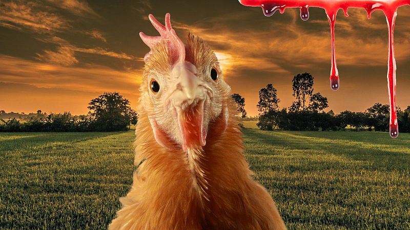 Celebrating the 80-year legacy of Mike, ‘The Headless Wonder Chicken’