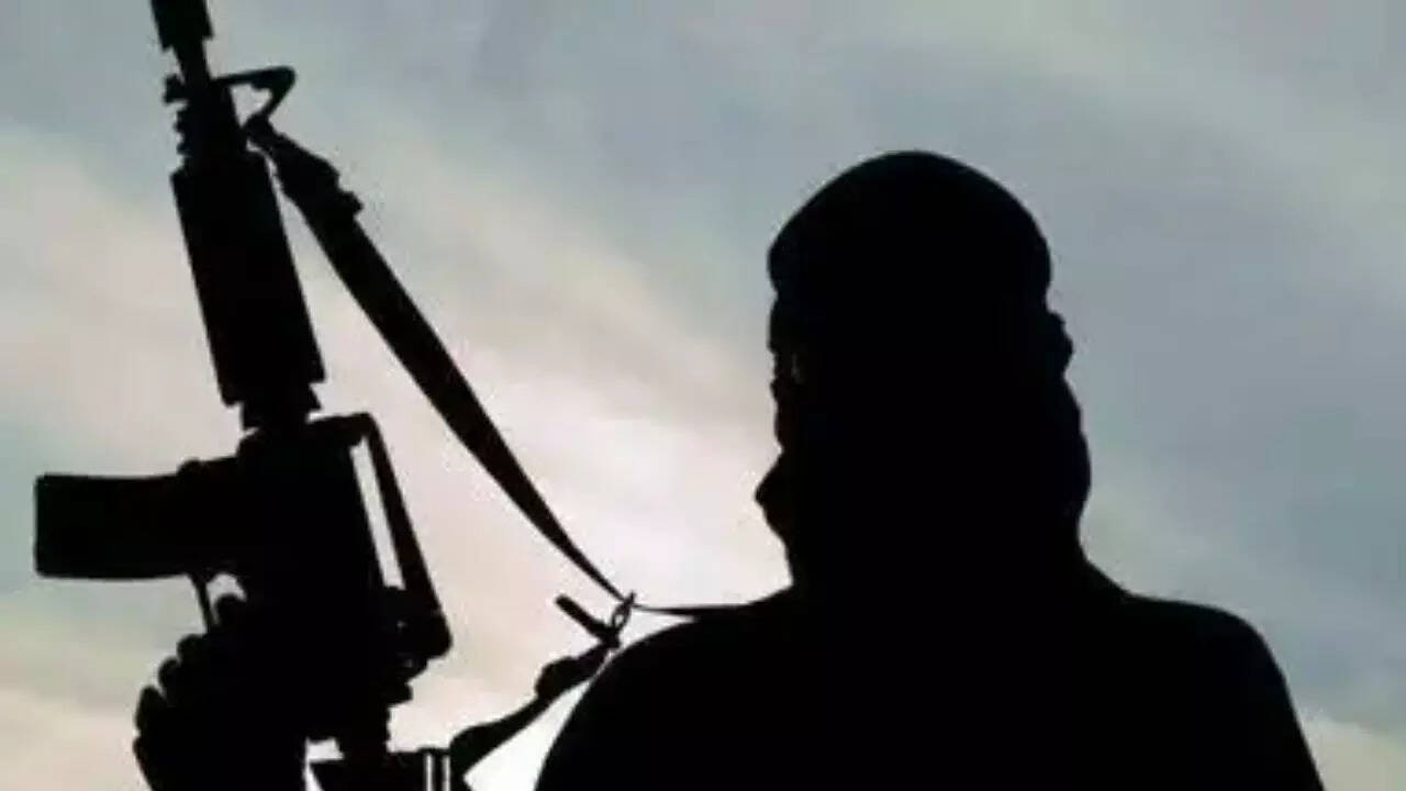 ISIS-inspired terror module busted: Delhi Police arrest two suspects ...