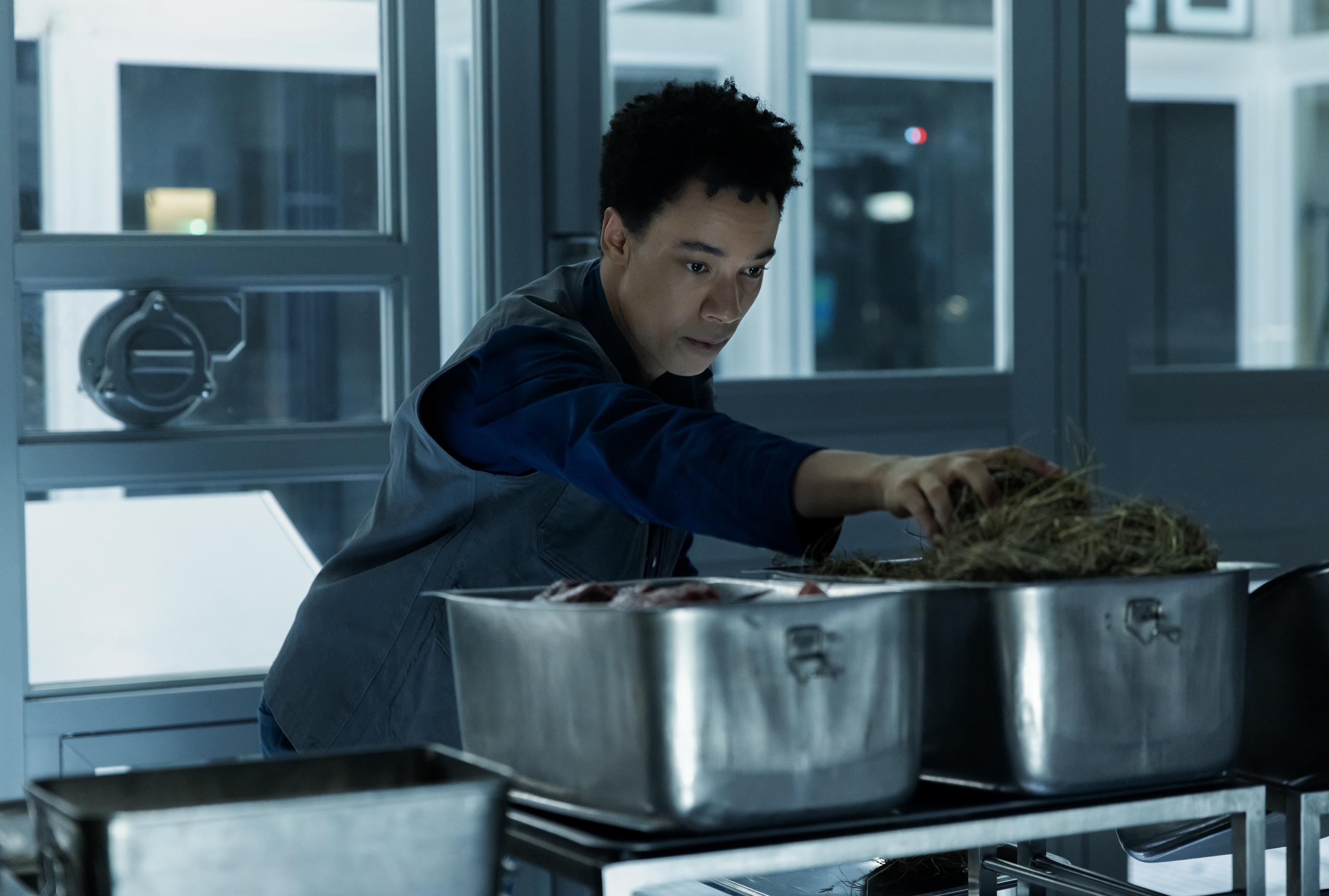 ‘Alien: Earth' Star Kit Young Breaks Down Tootles' Episode 6 [SPOILER ...