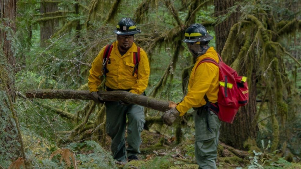 Foley Ridge Fire grows to 245 acres; crews ramp up efforts in McKenzie ...