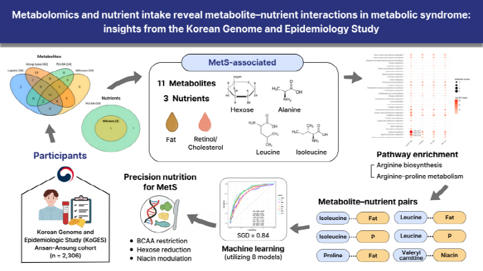 New Biometric Indicators of Korean Metabolic Syndrome Found...Arginine ...