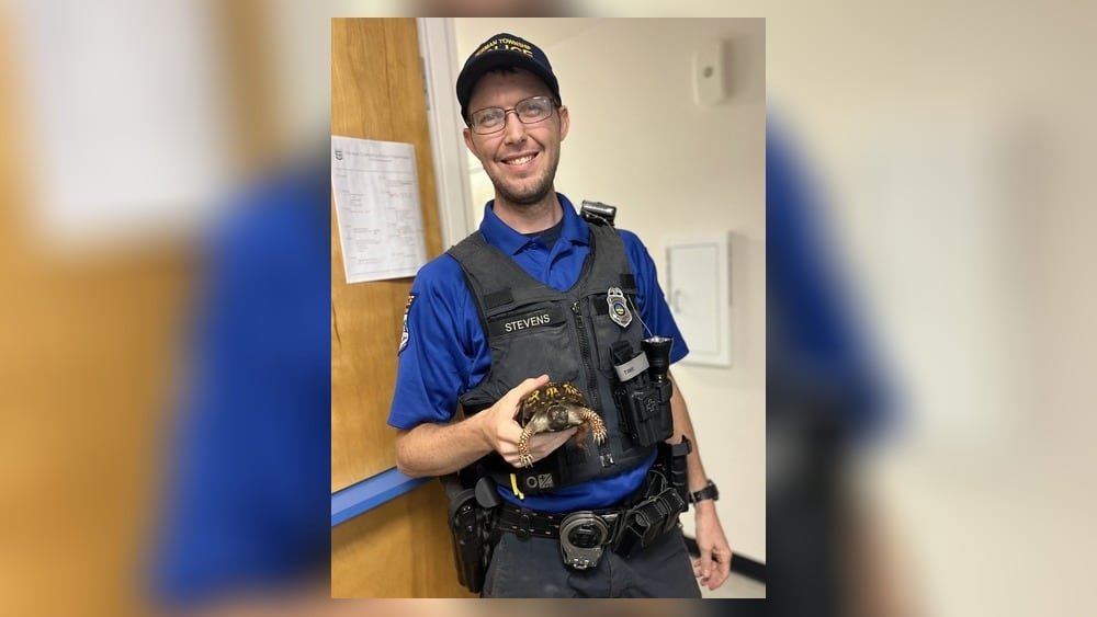 Officer rescues turtle walking across busy highway in Montgomery County