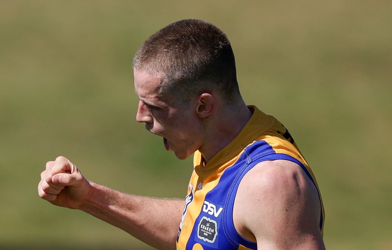 Standalone clubs lead the way as the VFL reveals 2025 Team of the Year ...