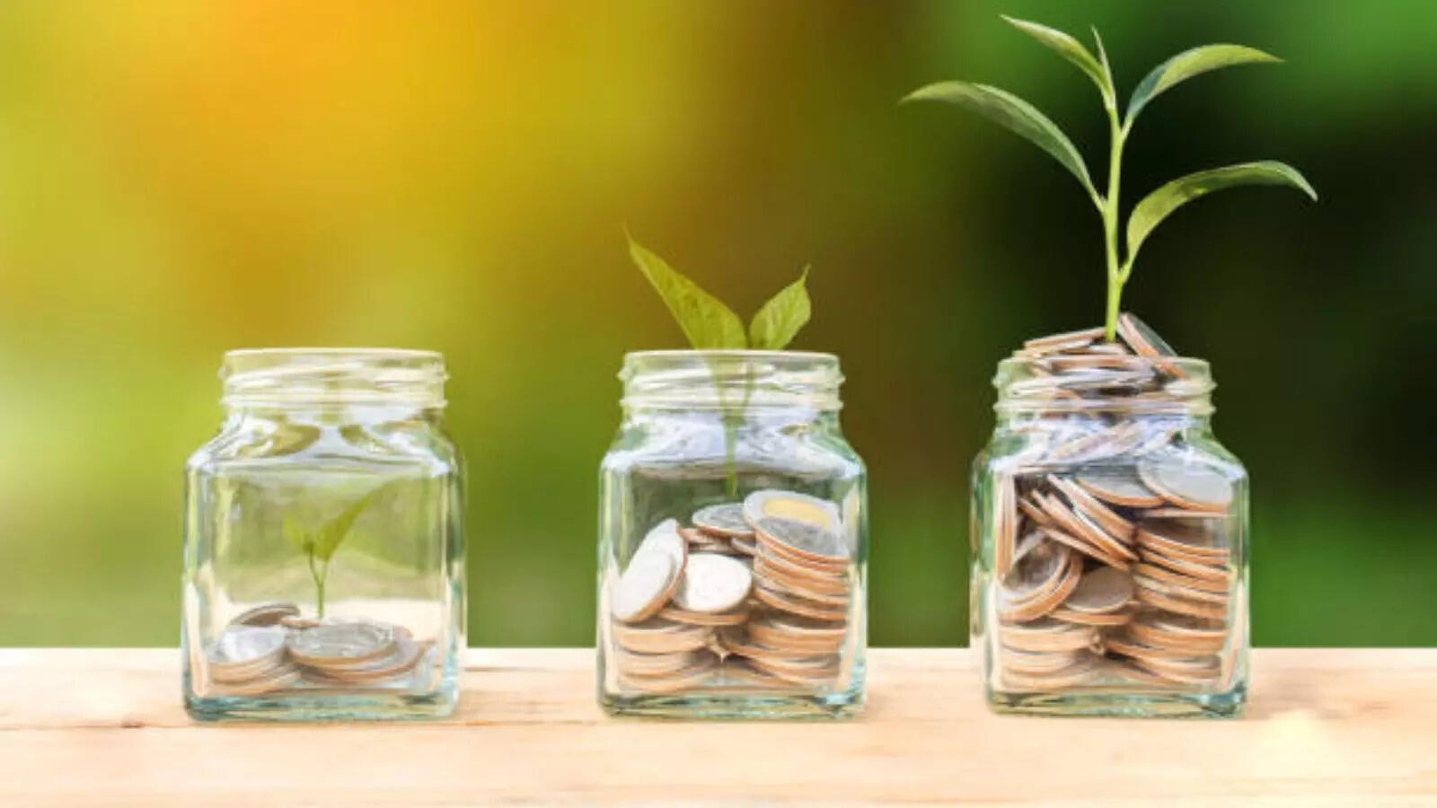 444-Day FD Interest Rates 2025: Check Offers from SBI, IOB and Other Banks