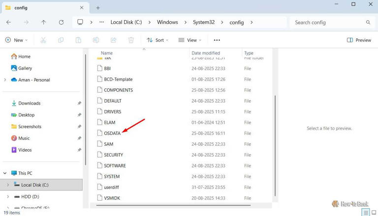 How to Cause Windows to Show a Blue Screen of Death with One File