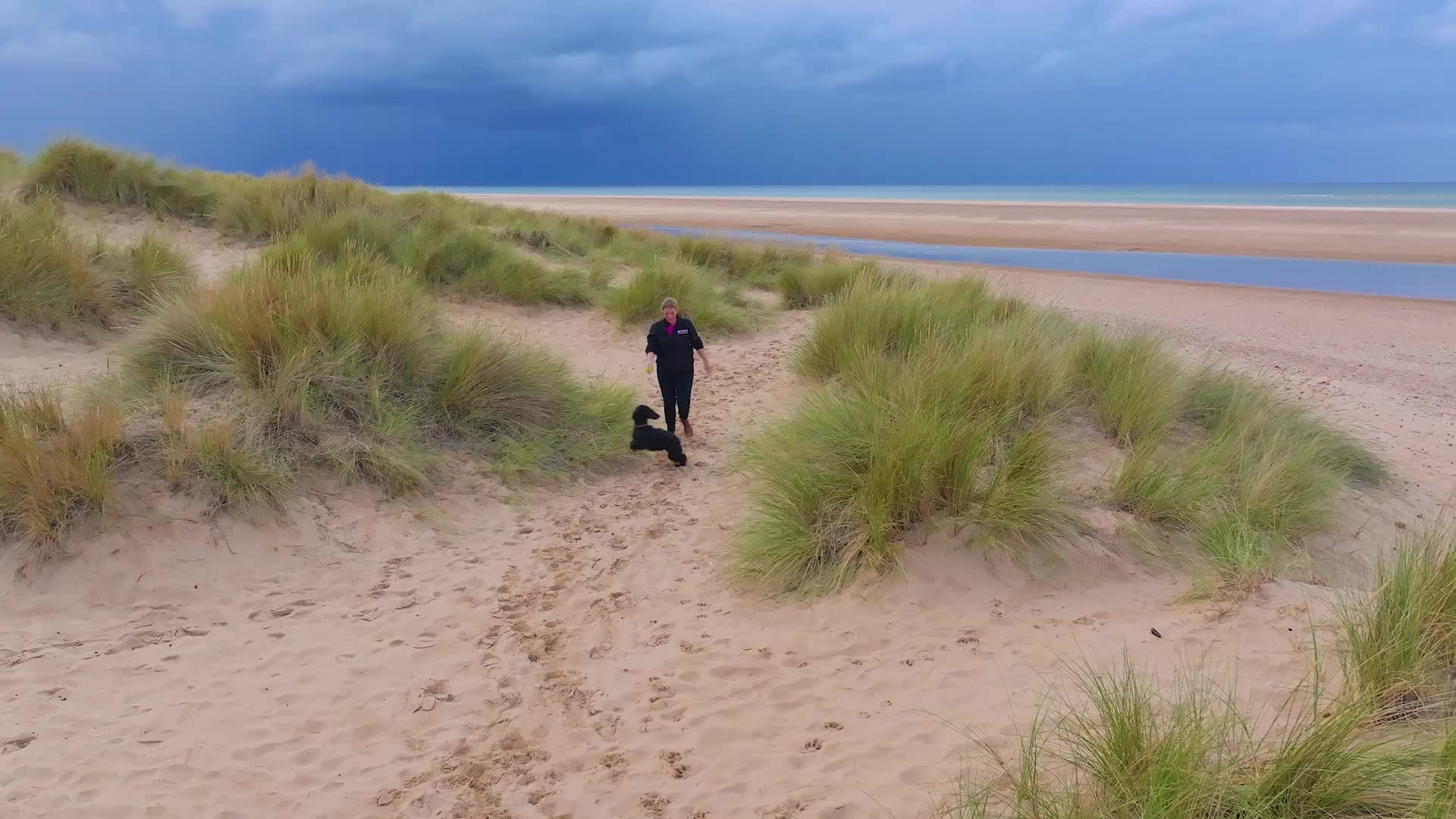 ‘Pioneering’ oyster reef project aims to boost biodiversity