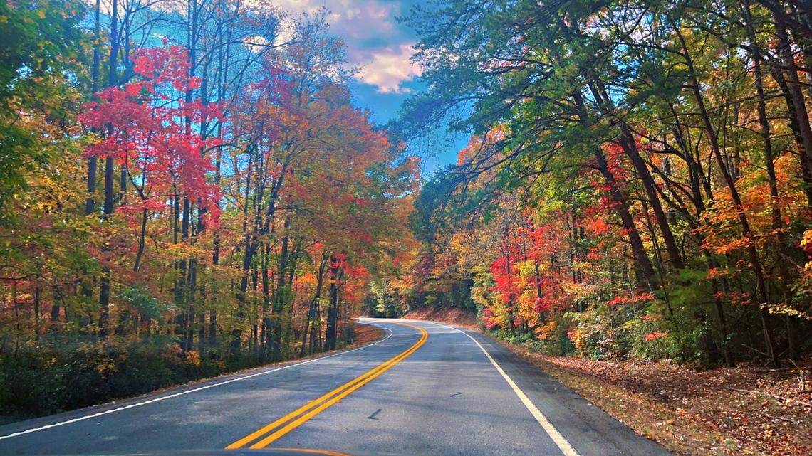 Here's when fall foliage in GA will peak in 2025 and the best places to ...