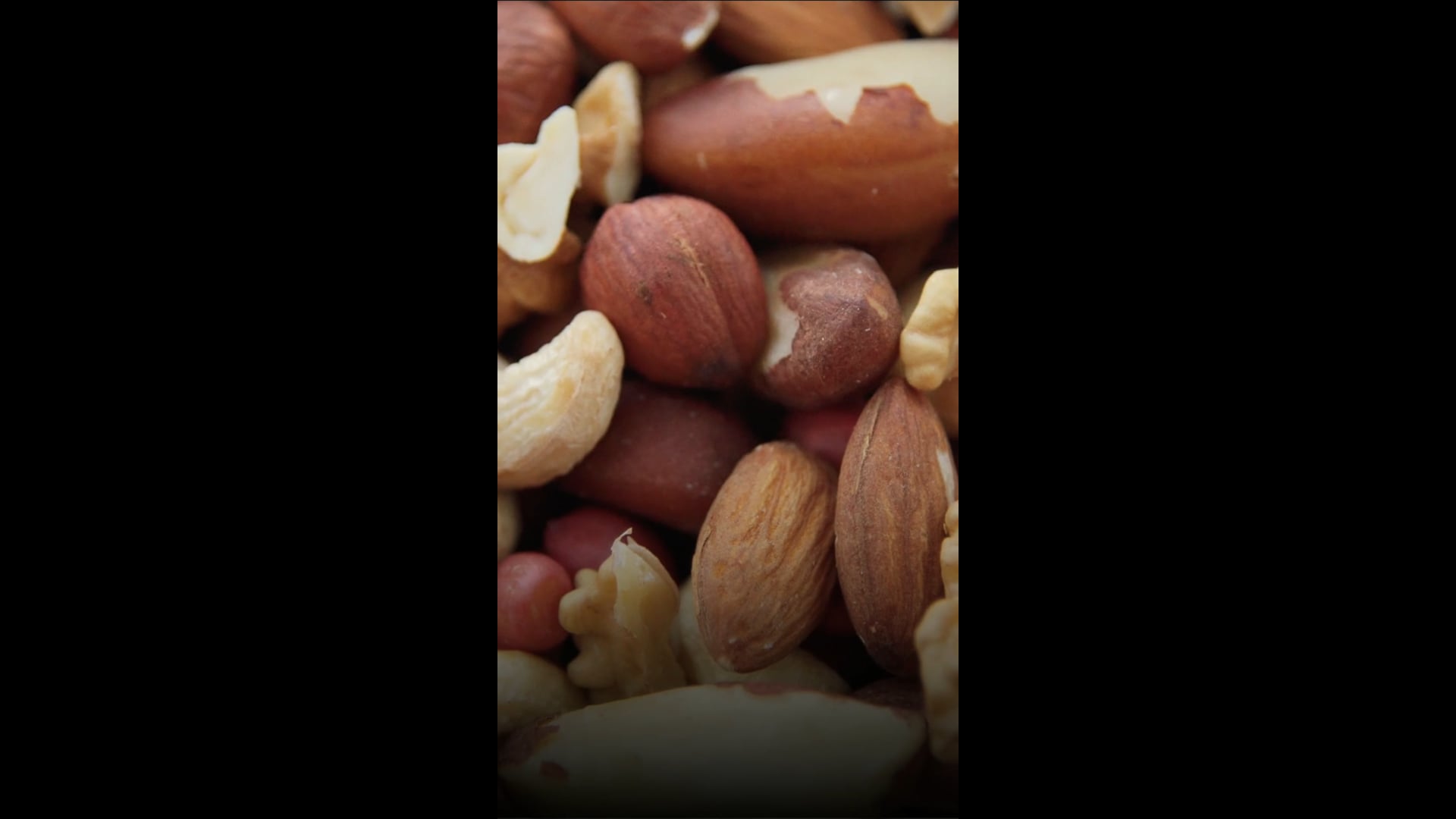 5 noix riches en protéines, idéales pour les collations.