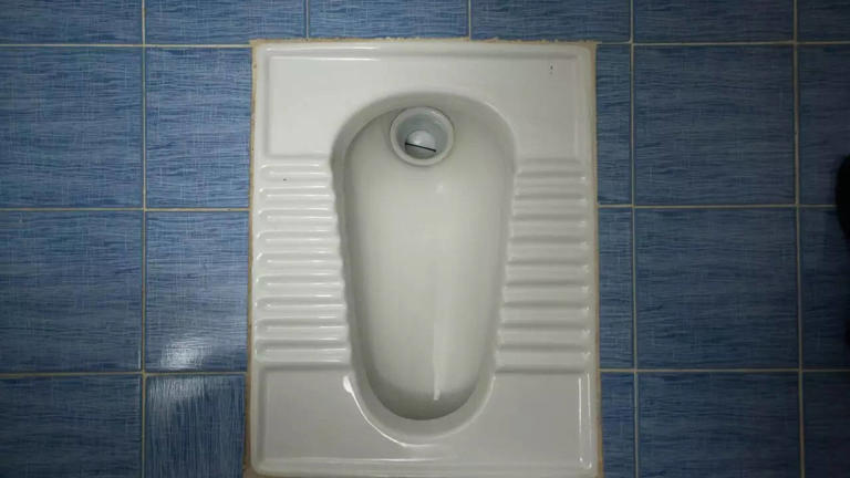 Squatting vs. sitting toilets in India and their impact on gut health ...