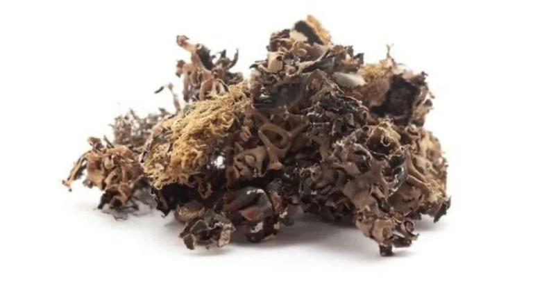 Dagad Phool (Stone Flower) In Indian Cooking