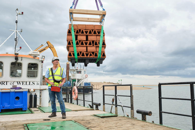 ‘Pioneering’ oyster reef project aims to boost biodiversity