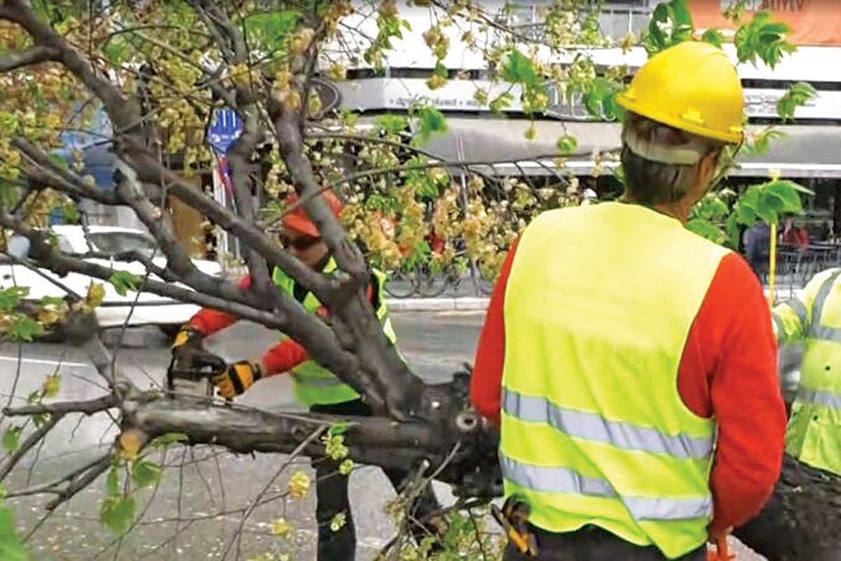 Αγριος ξυλοδαρμός δημοτικού υπαλλήλου