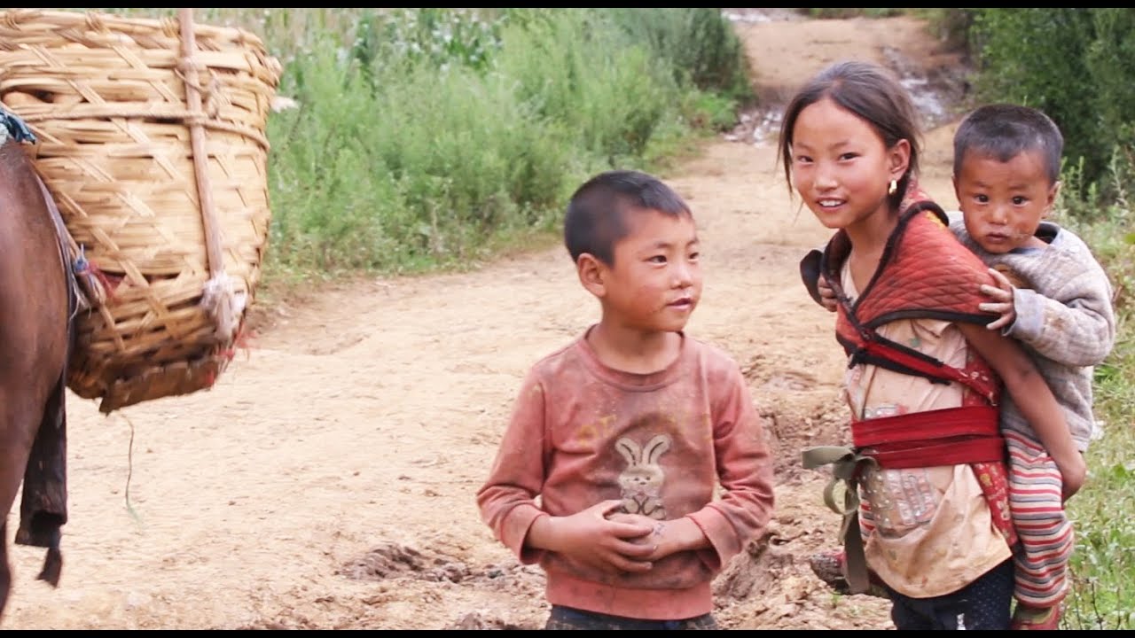 The Untold Science of Survival in China’s Remote Countryside