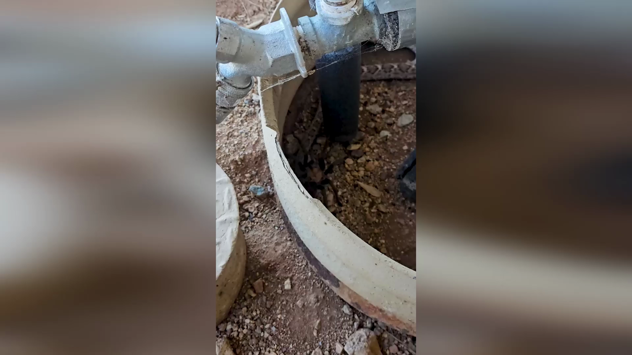 VS: Dodelijke ratelslang en tarantula delen schaduw in hitte Arizona