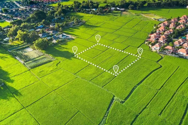 Before buying a plot, definitely check the registry and ownership. This is the complete online ...