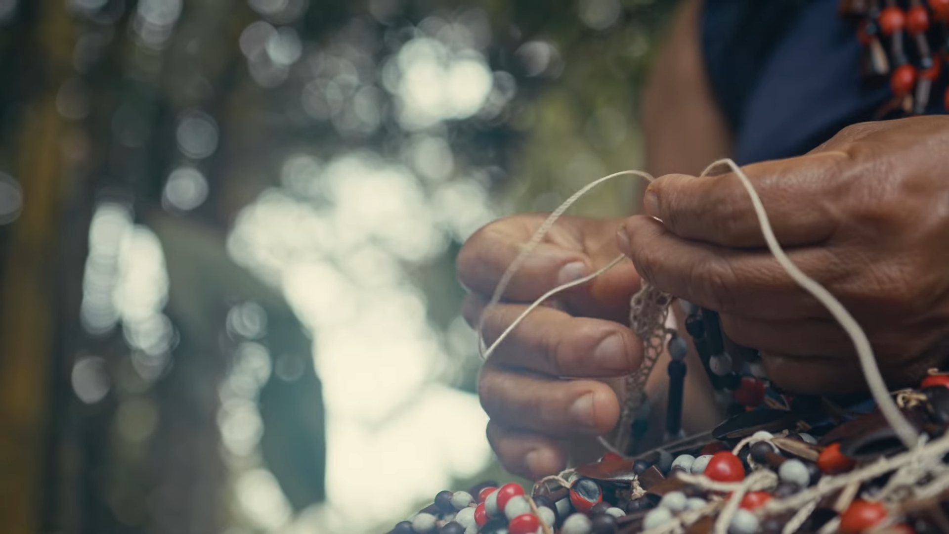 How the Human Hand Evolved to Shape the World