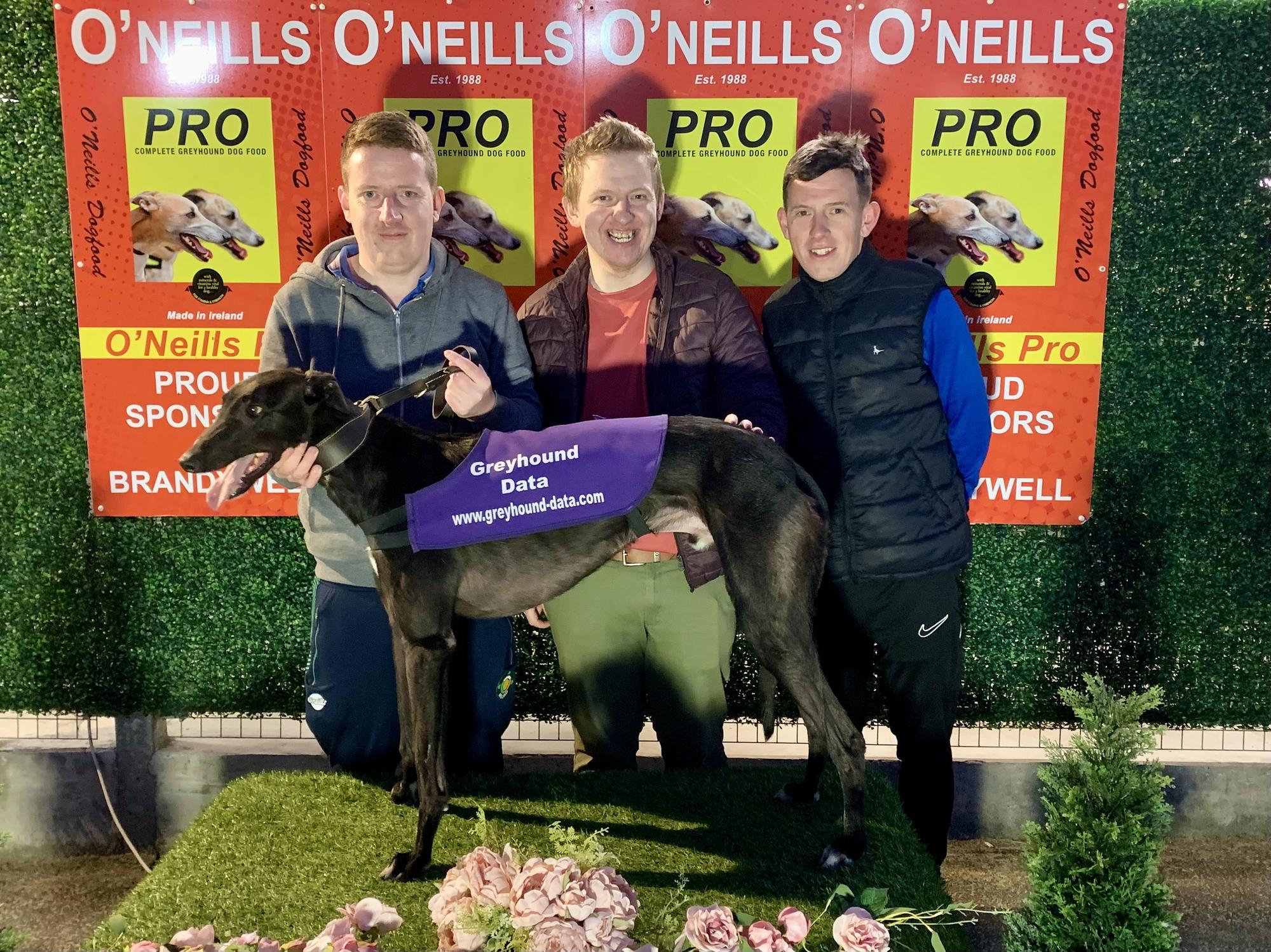 Greyhound Data Race Night at Brandywell