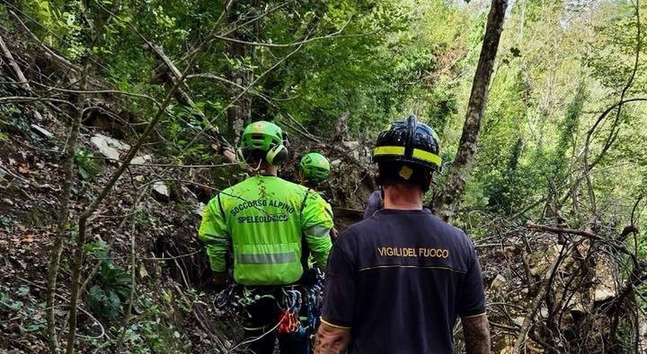 Assisi, muore schiacciato da una pianta nel bosco