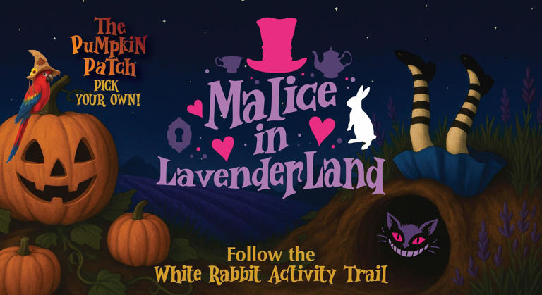 Mayfield’s Secret Lavender Garden to transform into spooky spectacular ...