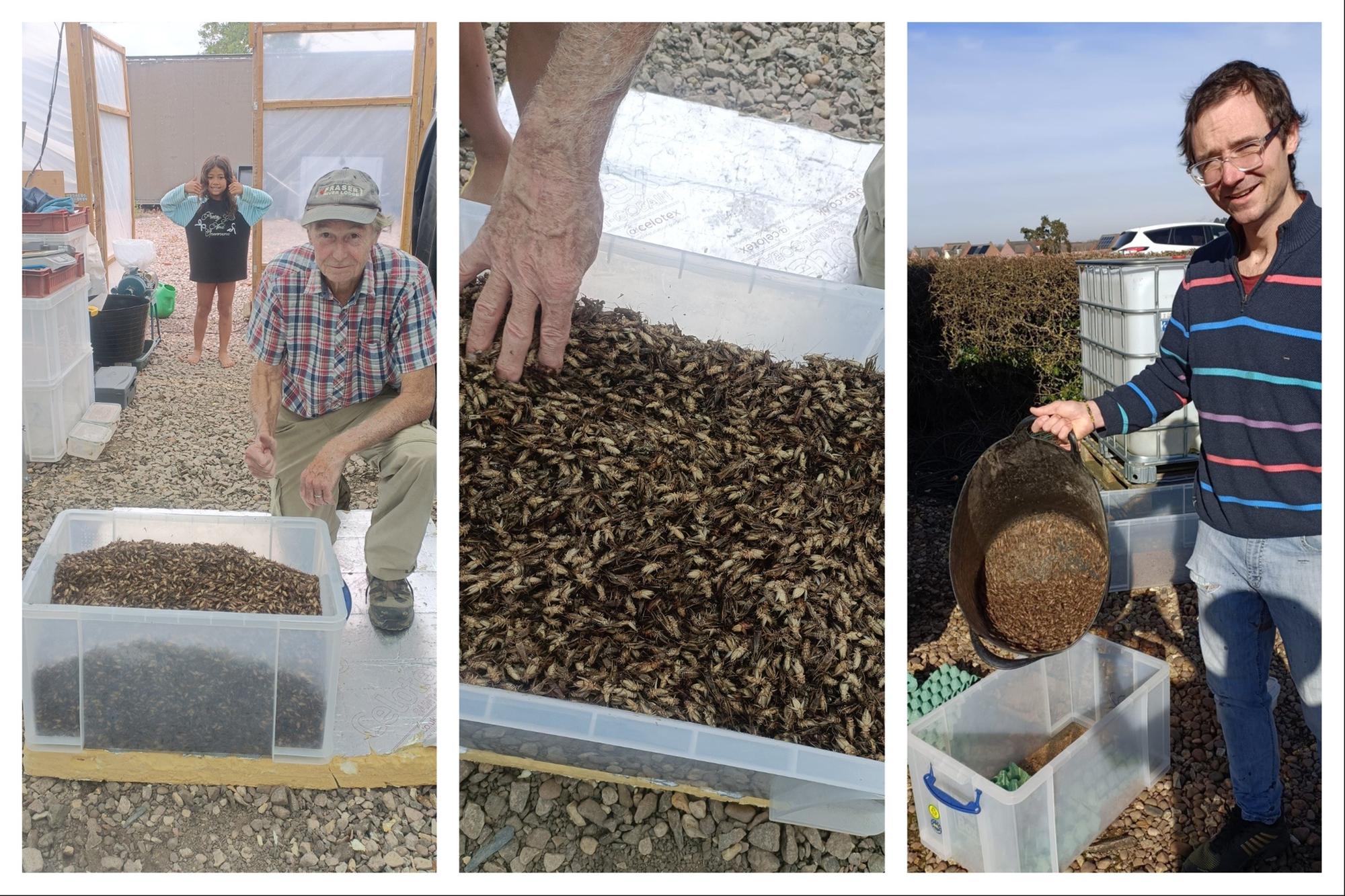 New Harborough start-up that began in garden shed is now hoping to ...