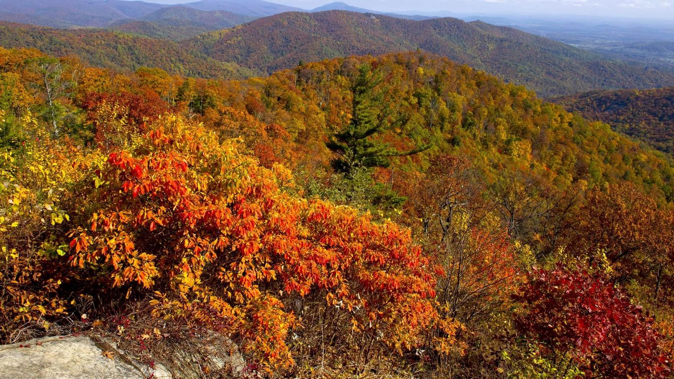 When Virginia's leaves will peak this fall