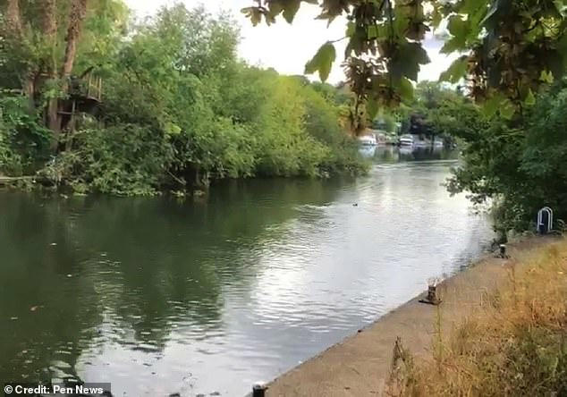 The Lost Ness Monster! Experts baffled as mystery creature filmed ...