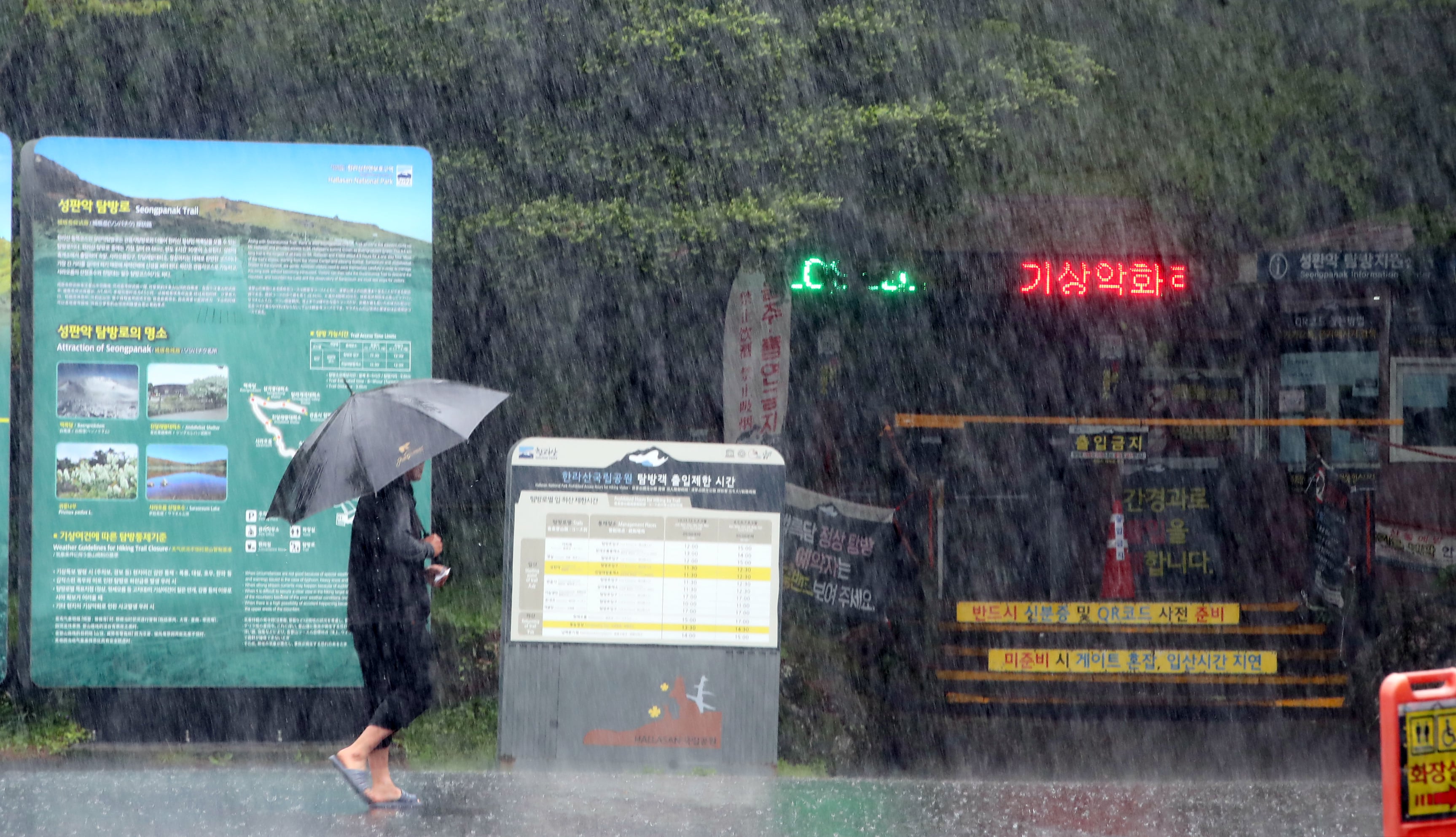 Exclusive: South Korea's first index-based weather insurance launches ...