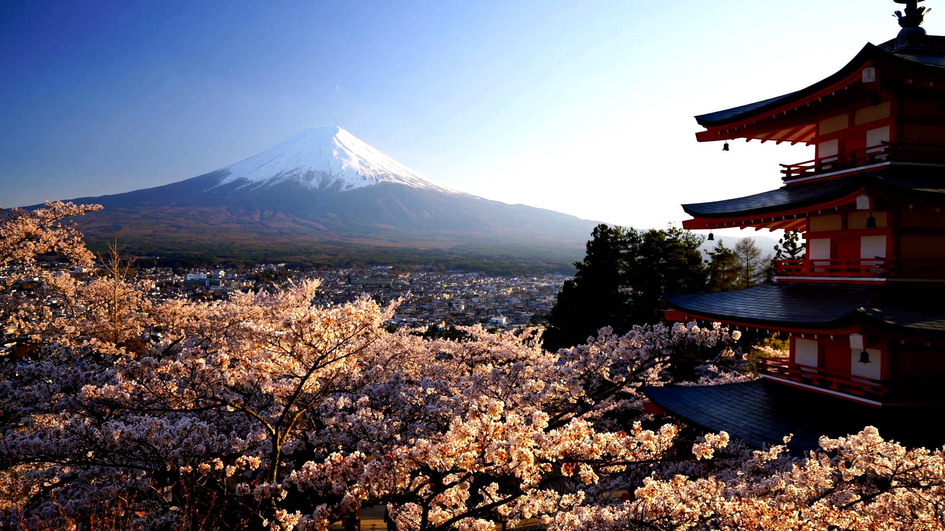 Global Wisdom: Simple Life Hacks from Around the World