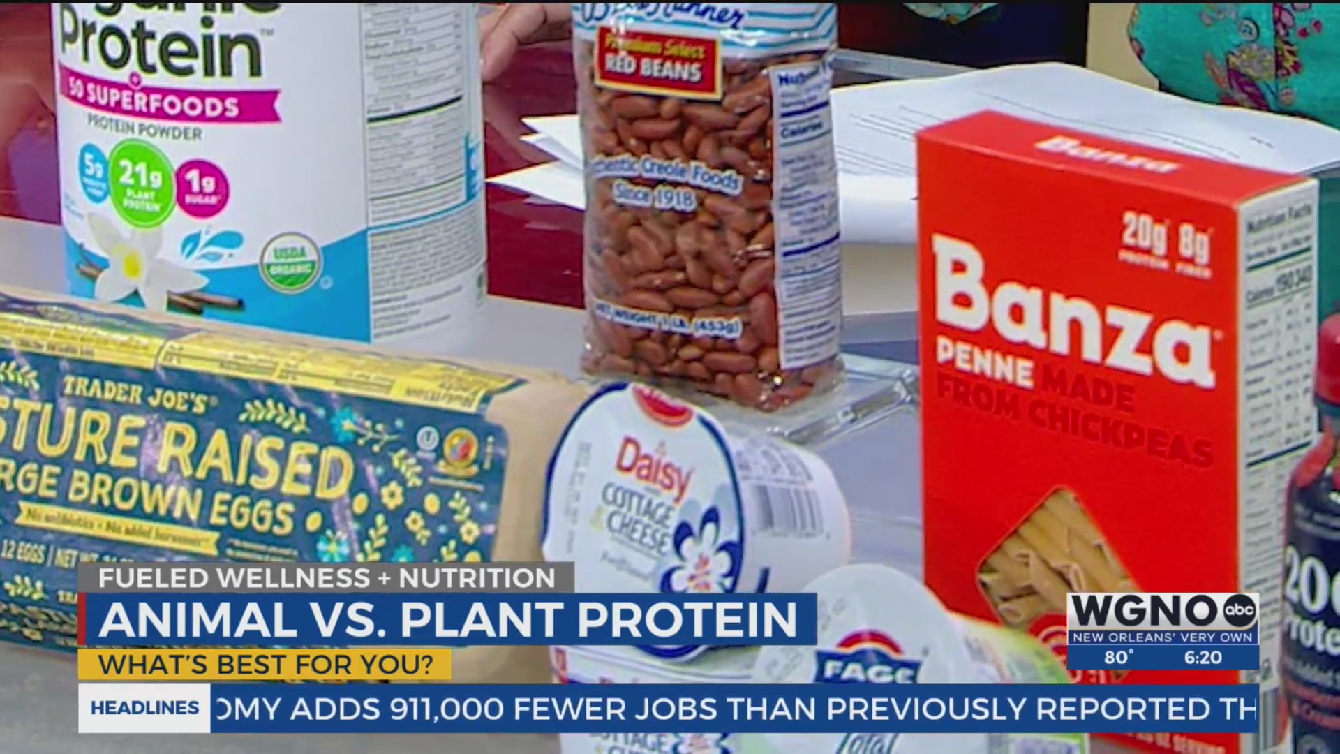 FUELED WELLNESS + NUTRITION | Animal vs. Plant Protein – what’s best ...