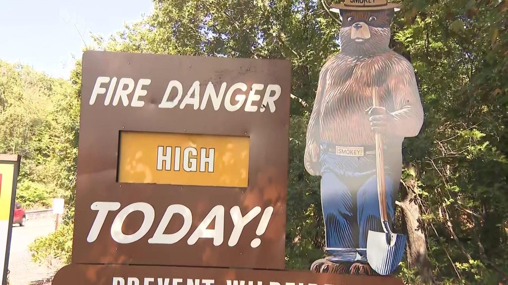 New Jersey's fall wildfire season is off to an early start. Here's why ...