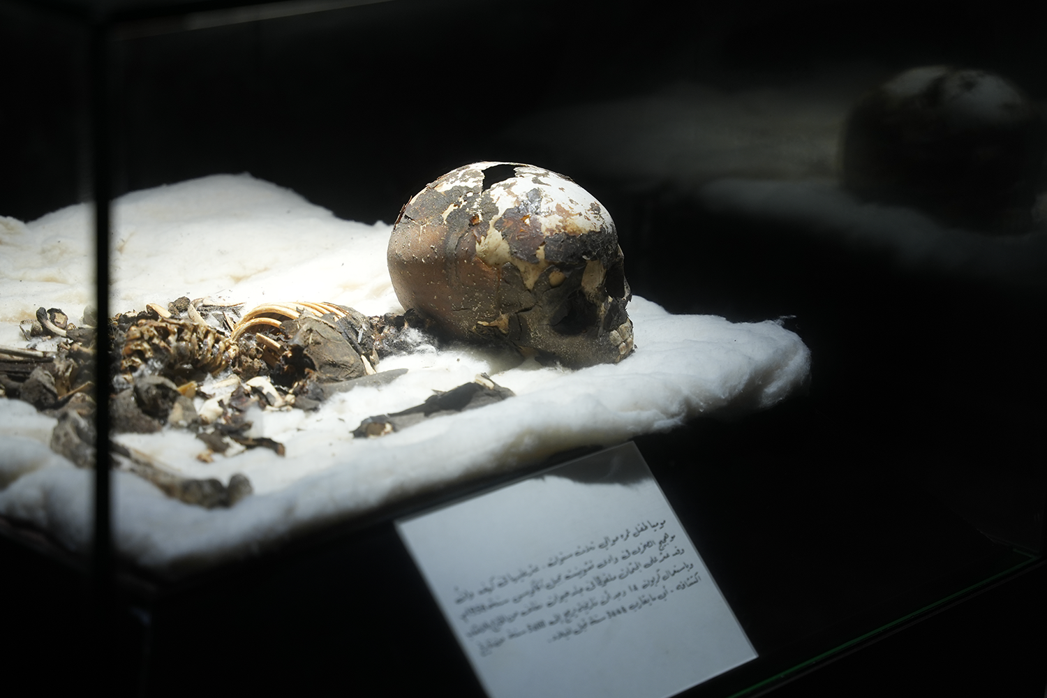 Africa's Oldest Mummy Is a Toddler Who Died 5,400 Years Ago, Nearly a ...