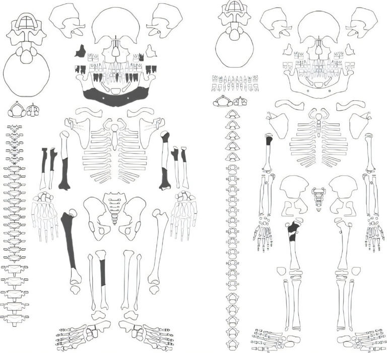 New Homo naledi evidence supports intentional burial practices