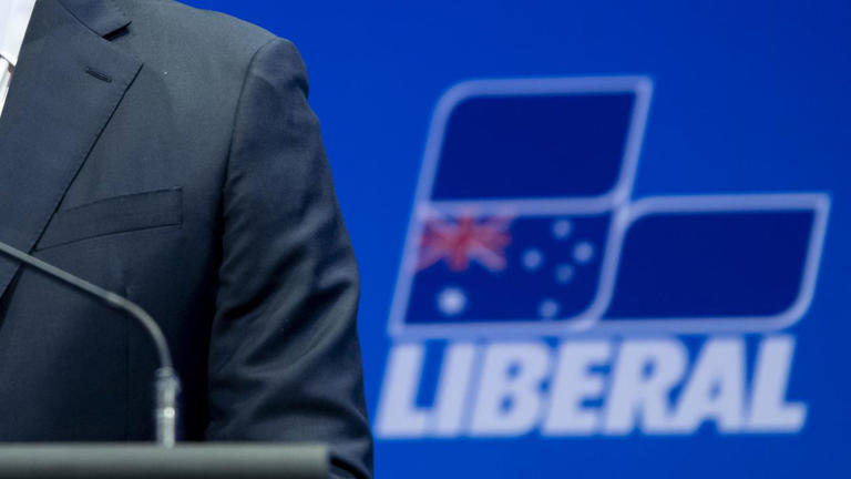 High-ranking Lib’s call over leaked messages