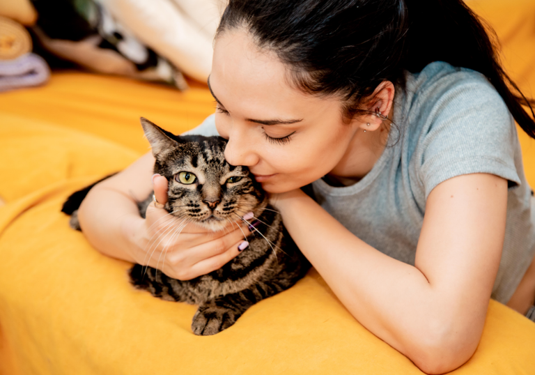 Mengapa Manusia Begitu Menyukai Kucing? Ini Alasan Ilmiah dan Dampak ...