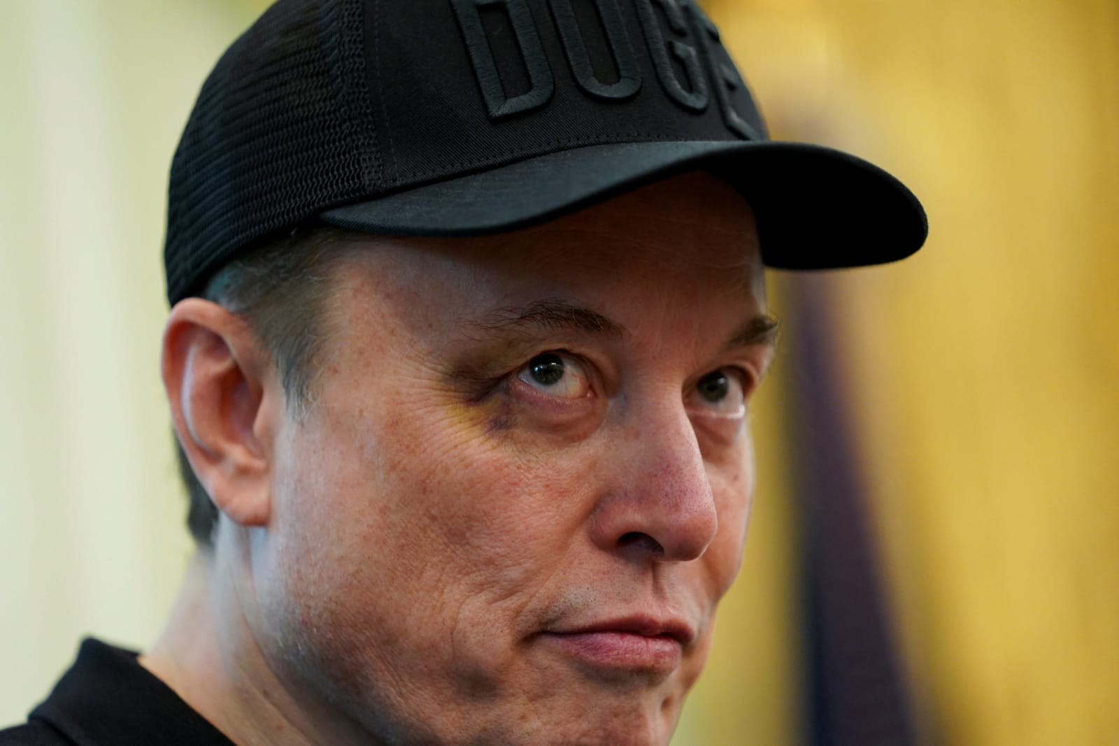 'Utter and complete madness': MAGA erupts as Elon Musk accuses NYT of ...
