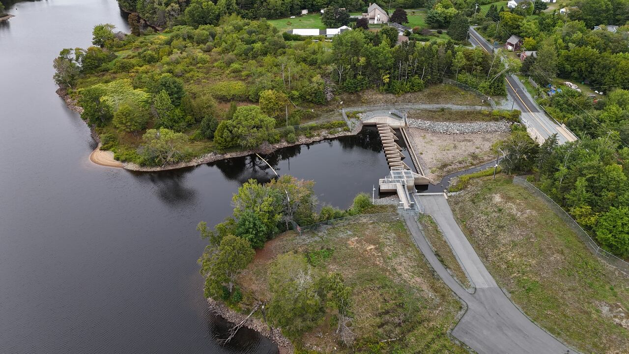 Mandatory water conservation measures in effect for 122,000 Halifax ...