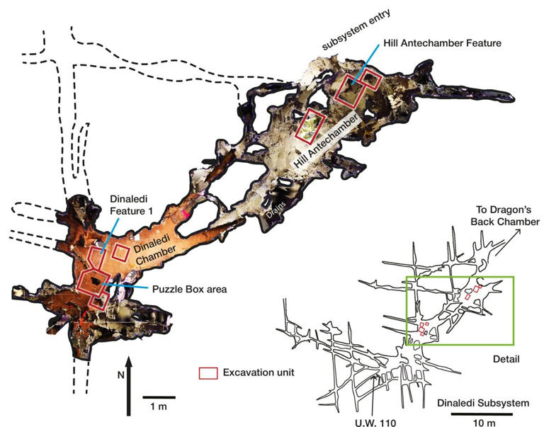 New Homo naledi evidence supports intentional burial practices