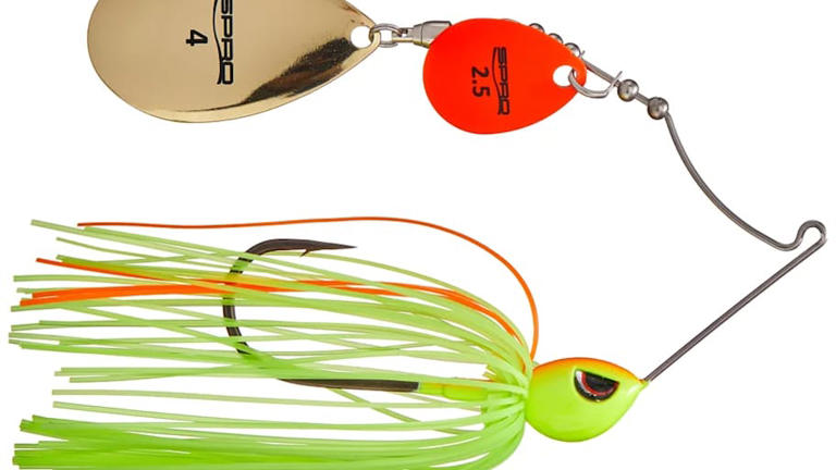 How To Choose The Best Spinnerbait For Bass Fishing